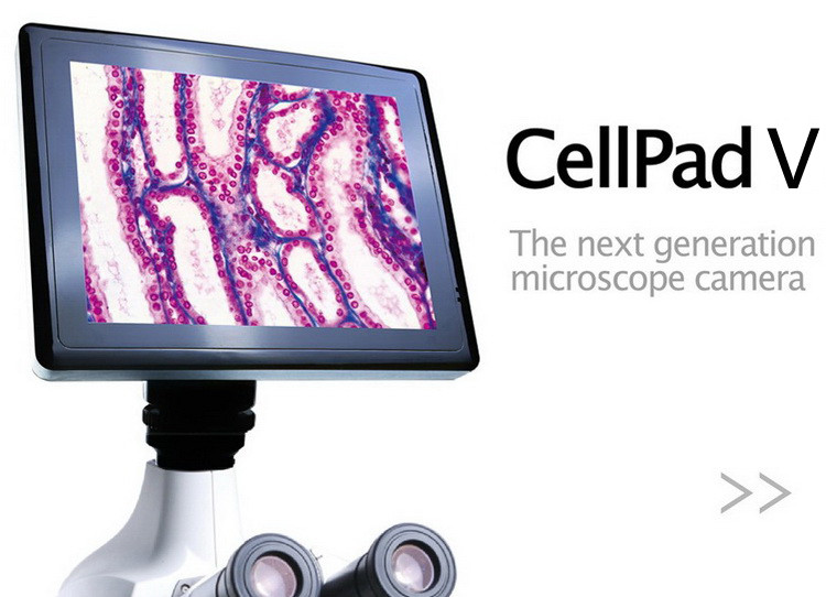 CellPad V Series Industry LCD Microscope China Manufacturer